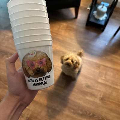 Bridal Wedding Veil Last Rodeo Bachelorette Bridal Shower Gift ...