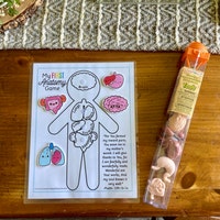 Anatomy Game, Printable Human Body Preschool Activity, About Me Kids ...