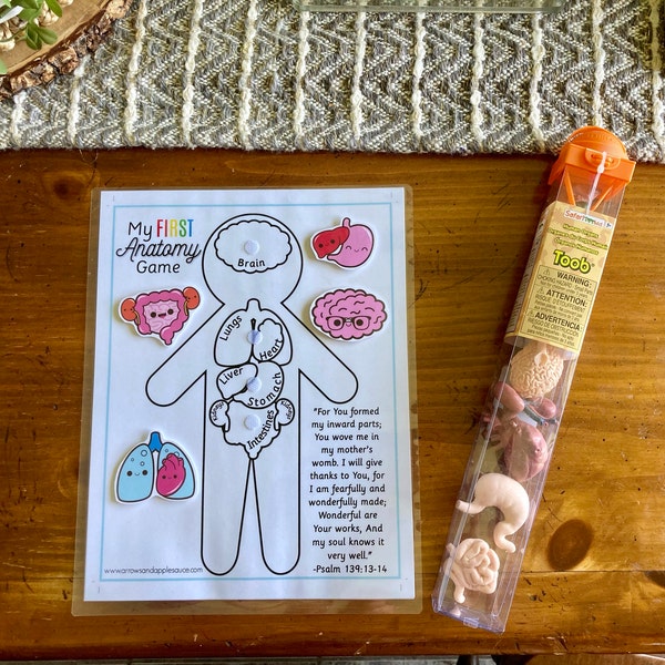 Anatomy Game, Printable Human Body Preschool Activity, About Me Kids ...