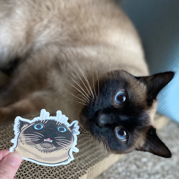 Merv the Cat Vinyl Sticker 2-pack / Mervthecat / Cat Sticker / Funny ...