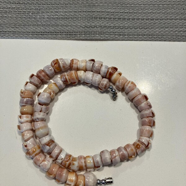 Dongfeng Conch Snail Sea Shells, Beach Decoration, DIY Jewelry for ...