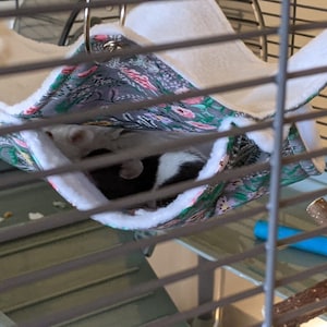 Rat Harness and Lead Set - Etsy