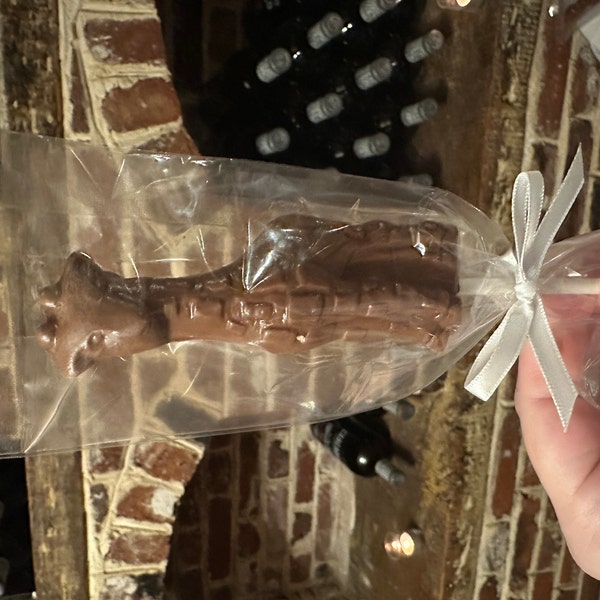 12 GIRAFFE Chocolate Lollipops Animal Jungle Birthday Party Favors Baby ...