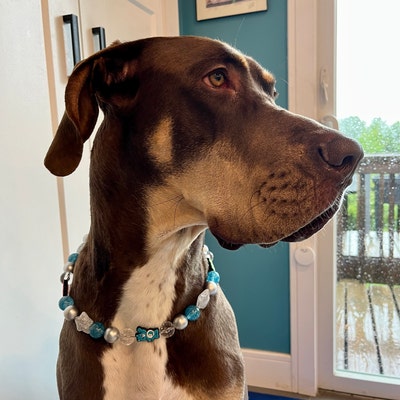 Watermelon Sugar Beaded Custom Dog Collar Sized to Order - Etsy