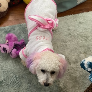 Personalized Girl Dog Bathrobe Canine Bathrobe Dog Bathrobe - Etsy