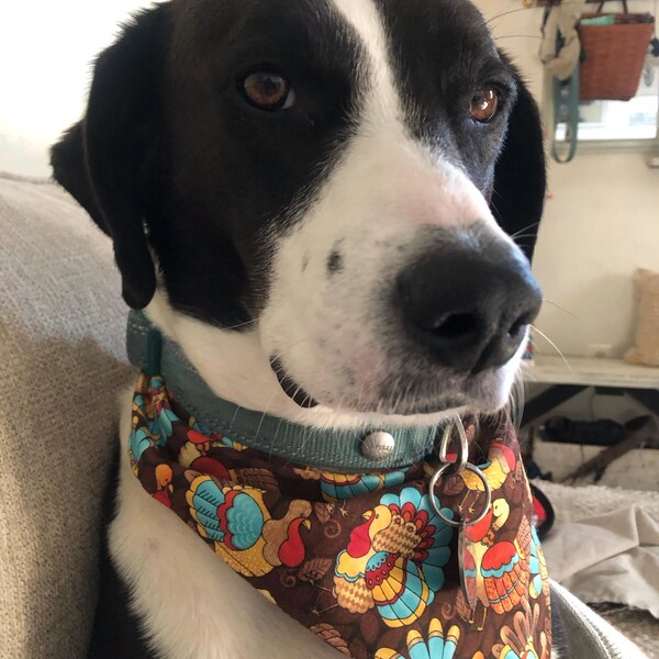 Dog Scarf Winter Pet Scarf Buffalo Plaid Puppy Scarf X Mas Dog Scarf ...