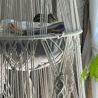 BEGINNER LEVEL / Macrame Pfd Tutorial / Learn Macrame / Macrame Phone Strap / Macrame Keychain ...