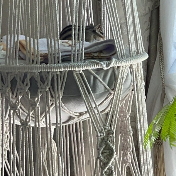 BEGINNER LEVEL / Macrame Animal Tutorial / Learn Macrame / Macrame ...