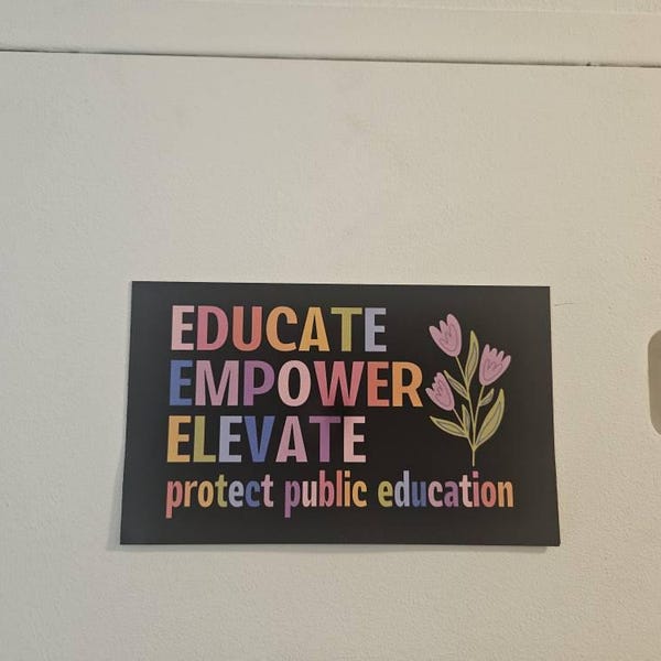 Unpaid Protester Pin Button, Anti Trump DOGE MAGA Fascism Oligarchy ...