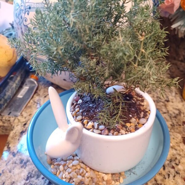 White Rabbit Ceramic Planter, Bunny Flower Pot Home Decor, Easter Ideas ...