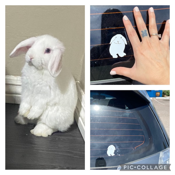 Lop Ear Bunny Rabbit Custom Vinyl Decal Sticker - Choose Your Color and ...