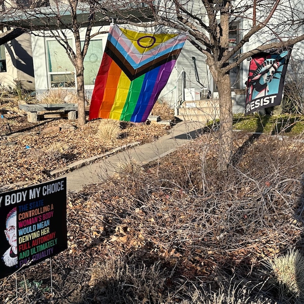 DIGITAL FILE: Printable Extended Pride Flag Reference Guide - Includes ...