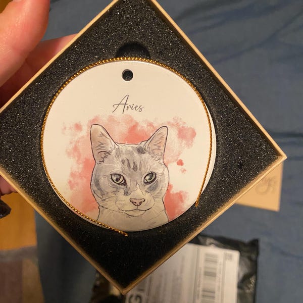 Custom Cat Ornament, Personalized Cat Ornaments, Pet Ornament for Pet ...
