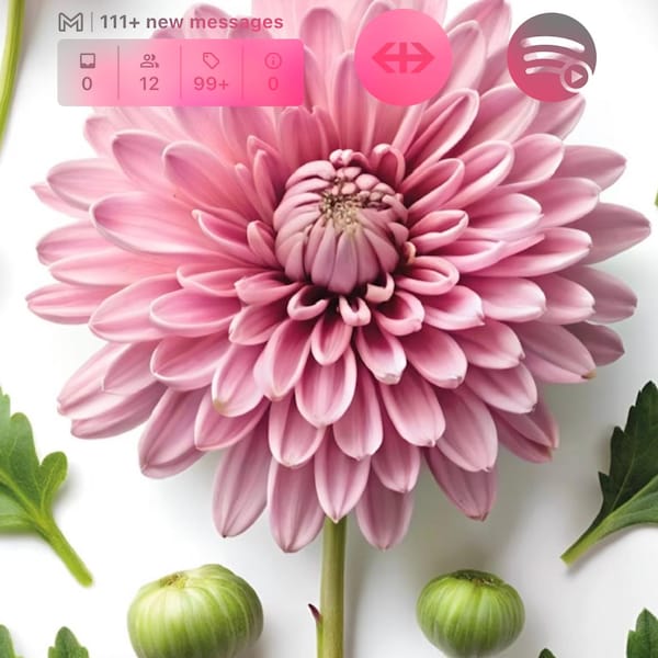 17 Grumpy Cat Barista Clipart Set Funny Coffee Lover Digital Art ...