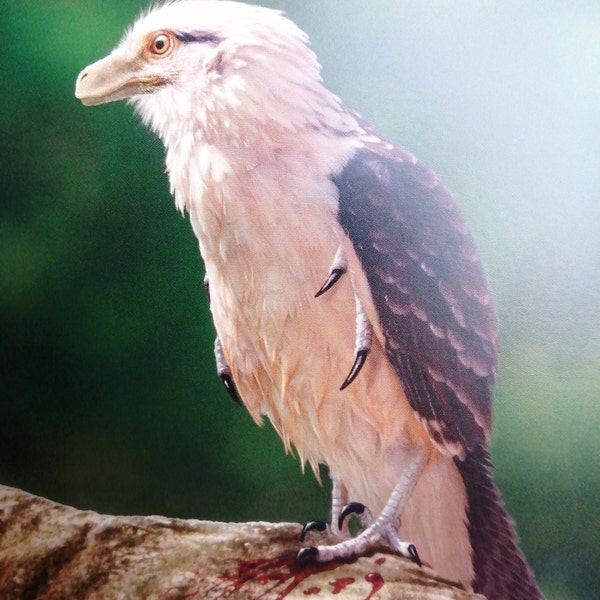 NOVOSAURS Book - Etsy UK