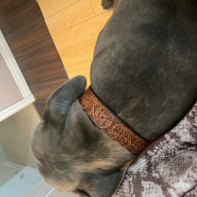 AZTEC Dog Collar, THUNDERBIRD Dog Collar, Hand Tooled Leather, Leather ...