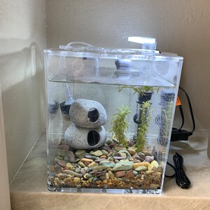 DIY Self Cleaning Conversion Kit for Anchor Hocking, 2 Gallon Fishbowl ...