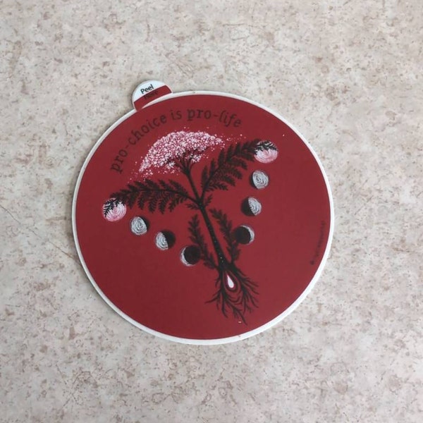 Honeybee Hard Enamel Pin / Protector Pollinator / Honeycomb Bee Copper ...