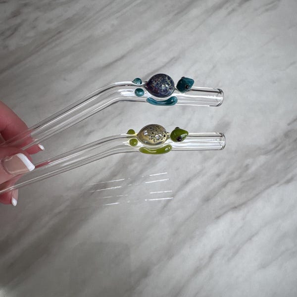 Ocean Scape With Fish GLASS STRAW Reusable Straws Glass Straws Smoothie ...