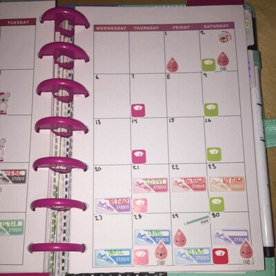 Steps Stickers / Daily Steps Printable / Walk Planner Sticker / Weekly ...