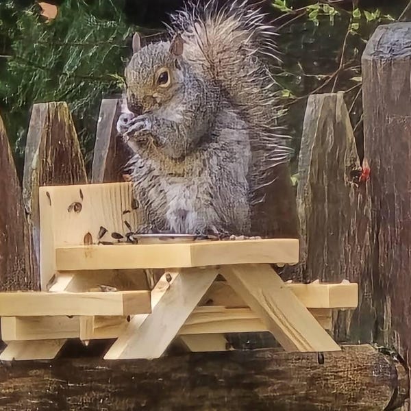 Squirrel Picnic Table, Squirrel Feeder, Picnic Table for Squirrel, Fence Picnic Table for ...