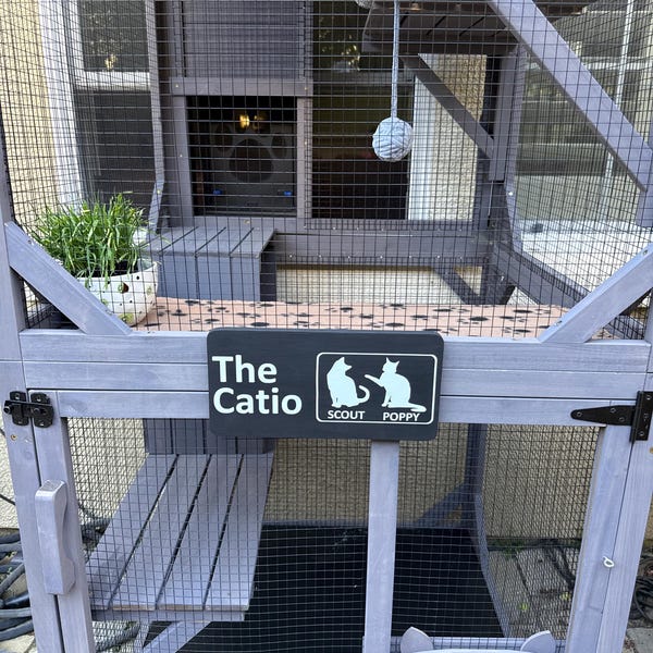 Cat Definition Wood Sign, Stained Wood Cat Sign, Cat Themed Decorations ...