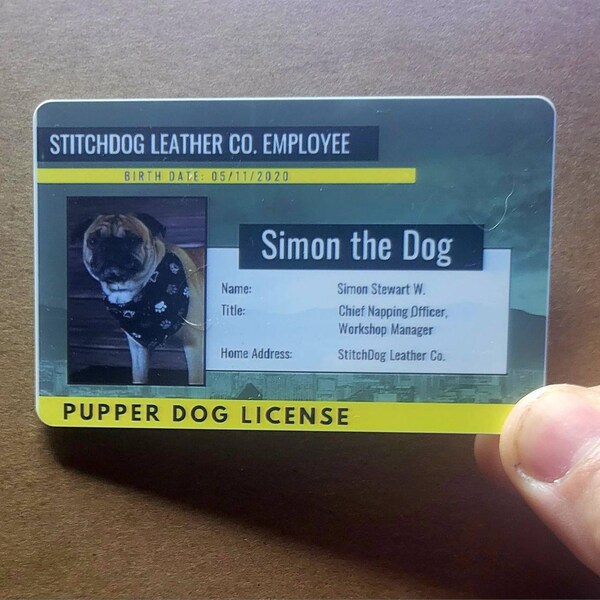 SCP Foundation Keycards - Etsy