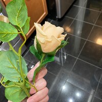 Real Touch Light Blush Roses Buds Silk Roses DIY Wedding - Etsy Canada