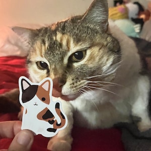 Blue Tang Tropical Fish Waterproof Die Cut Sticker Kawaii Chibi ...