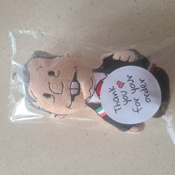 Pejeluche Keychain AMLO Andres Manuel Lopez Obrador 4.5" Claudia ...