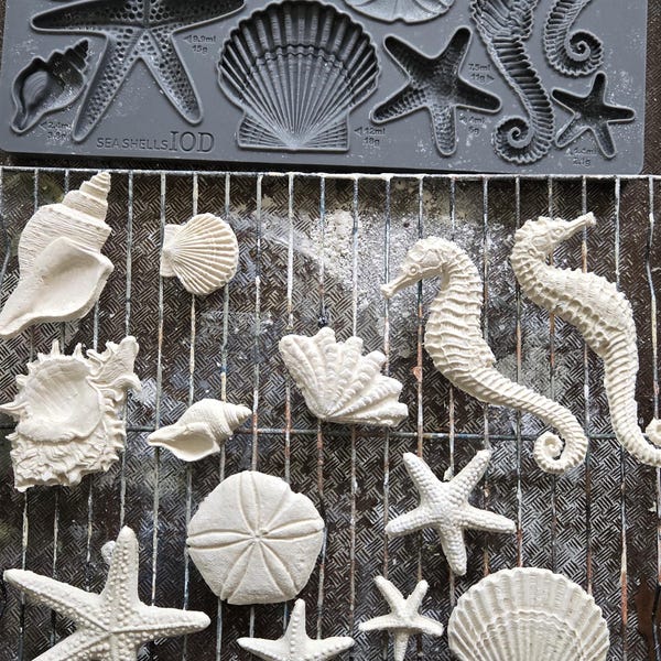 IOD Sea Shells Mould Iron Orchid Designs - Etsy
