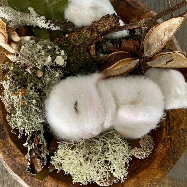 Lg Forest Findings Collection, Dried Botanicals, Forest Decor ...