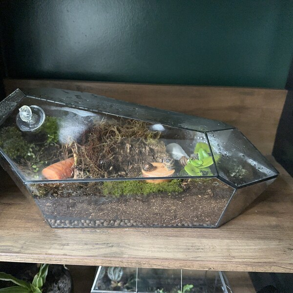 Waterproof 18 Inches Geometric Terrarium Galaxius - Stunning Parametric ...