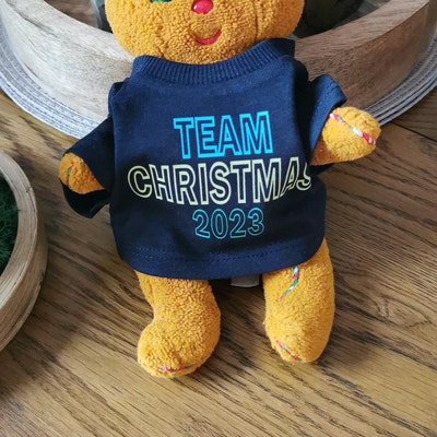 Personalised Teddy T-shirt or Hoody available in Different Colours ...