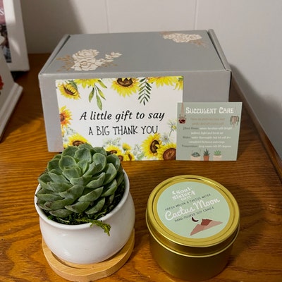 Thank You Succulent Gift Box A Big Thank You Gift Box Employee ...