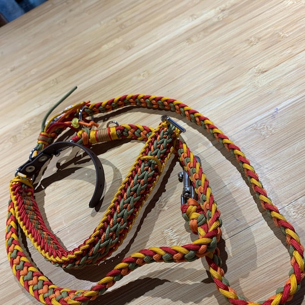 Custom Horse Tack With Name Tag, Personalized Lead Rope for Pets, With ...