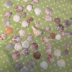 Ladies on the Beach Seashell Canvas Art - Etsy