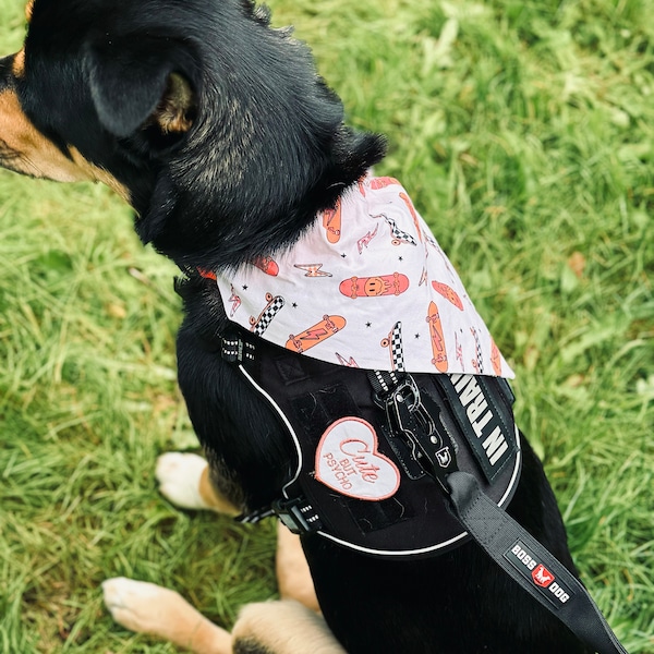 Matching Dog and Owner Bandana Sweatshirt Set, Paw Print Shirt for Dog ...