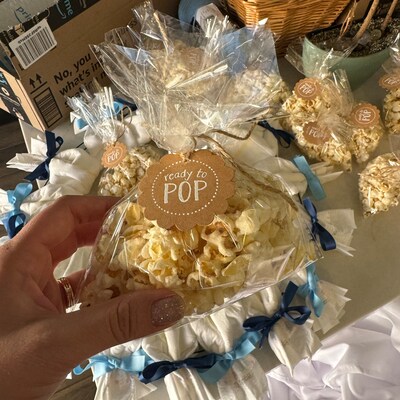 Set of 10 Handmade Ready to Pop Gift Tags-popcorn Tag-cake Pop Tag-mini ...