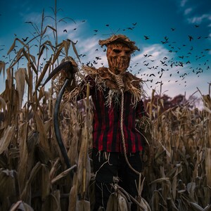 Flying Books Overlay Photoshop Overlays for Photoshop. Digital ...