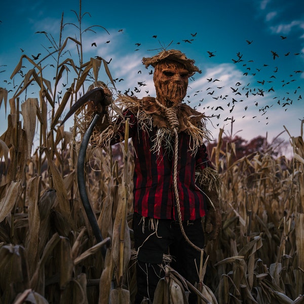 Crowns King Crown Overlay Photoshop Overlays for Photographers ...