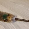 8"-10" SMUDGE FEATHER WAND: Prayer, Ceremony, Ritual, Spiritual, Saging ...
