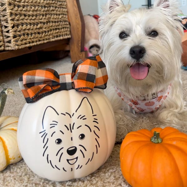 Hand Painted Rock West Highland Terrier Westie Dog Mom Gift, Stone Art ...