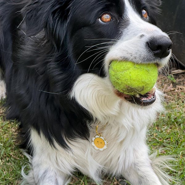 Enamel Pins - Cheeky Taco Funny Food Enamel Pin - Etsy