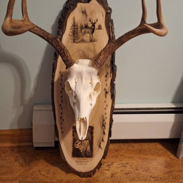 European Mount, Photo Engraved Hunting Plaque, Deer Skull Mount ...