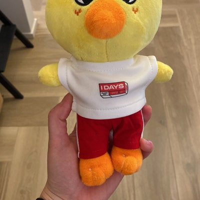 Skzoo Hoodie Set, Stray Kids Plushies, Skzoo Outfits, Skzoo Clothes ...