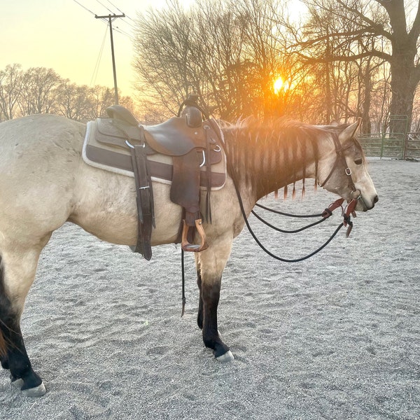 12' LOOPED LEAD ROPE for Parelli Training, Many Colors Available - Etsy