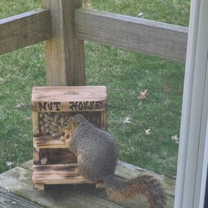 The Original Squirrel Nut House Feeder - Etsy