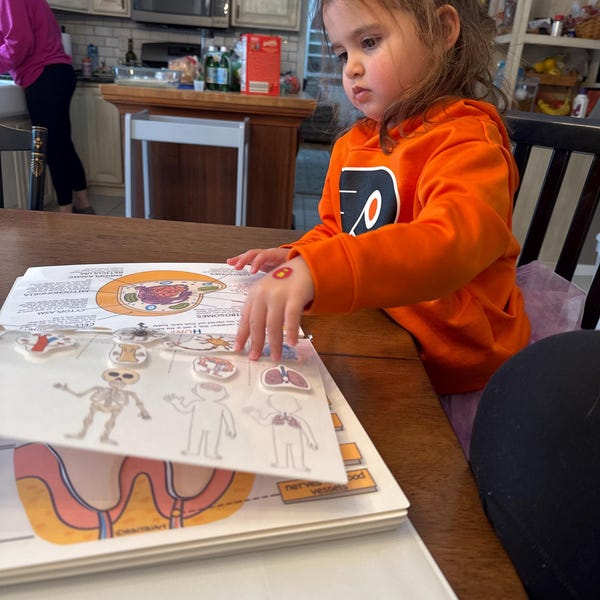 Human Anatomy Busy Book for Kids, Personalized Toddler Activity Book ...