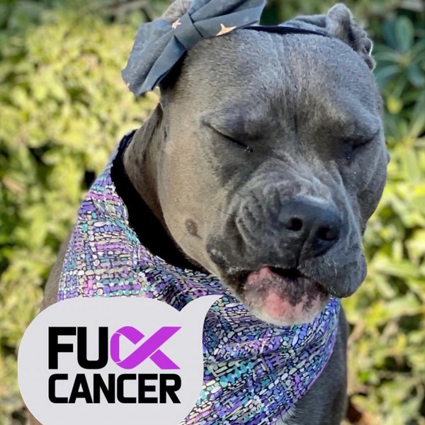 F Cancer Vector Sign, Cancer Ribbon Printable Cutting Files, Pink ...